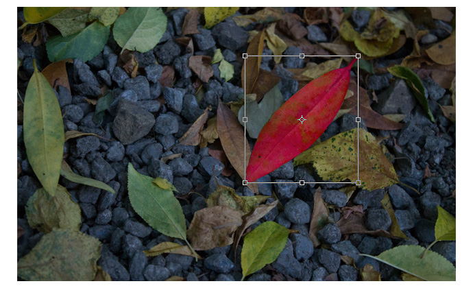 Bounding Boxes In Photoshop