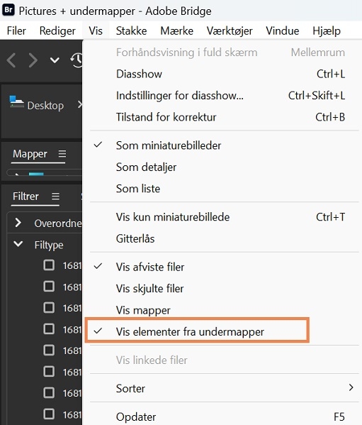 Sådan ser og administrerer du filer i Adobe Bridge