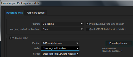 Verwenden des GoPro CineForm-Codecs in After Effects