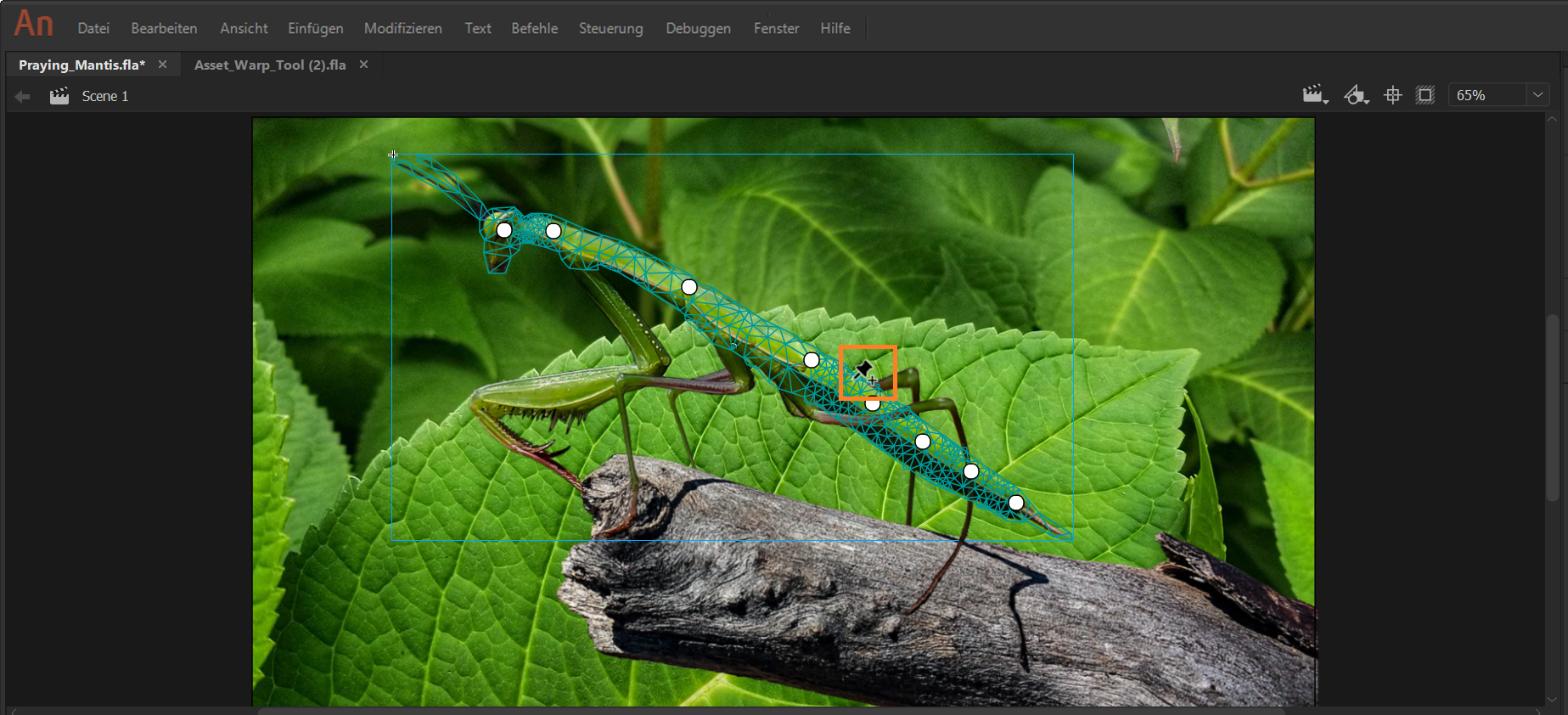 Transformieren und Kombinieren von Grafikobjekten in Animate
