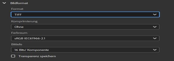 Exportierenbedienfeld