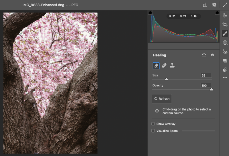 Übersicht über die neuen Funktionen | Adobe Camera Raw (Version Oktober ...