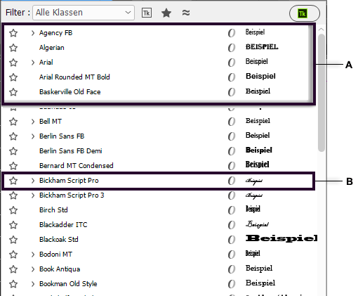 Installation und Verwendung von Schriftarten in InDesign