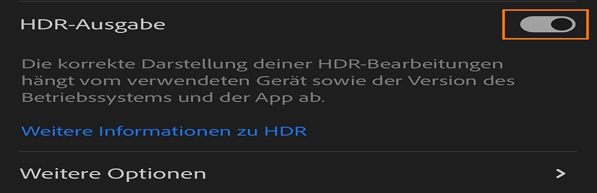 Optimieren von HDR-Fotos in Lightroom Mobile (iOS)