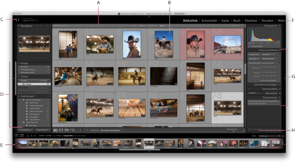 Grundlagen zum Arbeitsbereich in Lightroom Classic