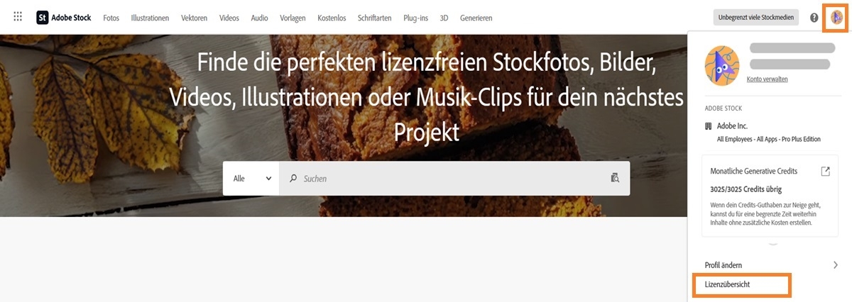 Adobe Stock-Integration