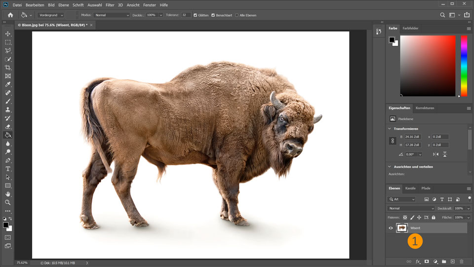 Adobe Learn - Lerne Photoshop Einen Doppelbelichtungseffekt in Photoshop erstellen.