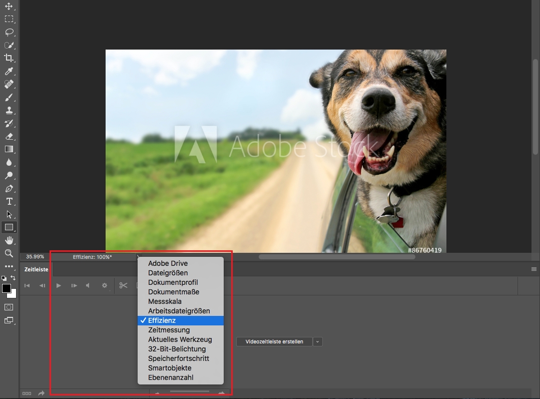 Leistungsoptimierung für Photoshop