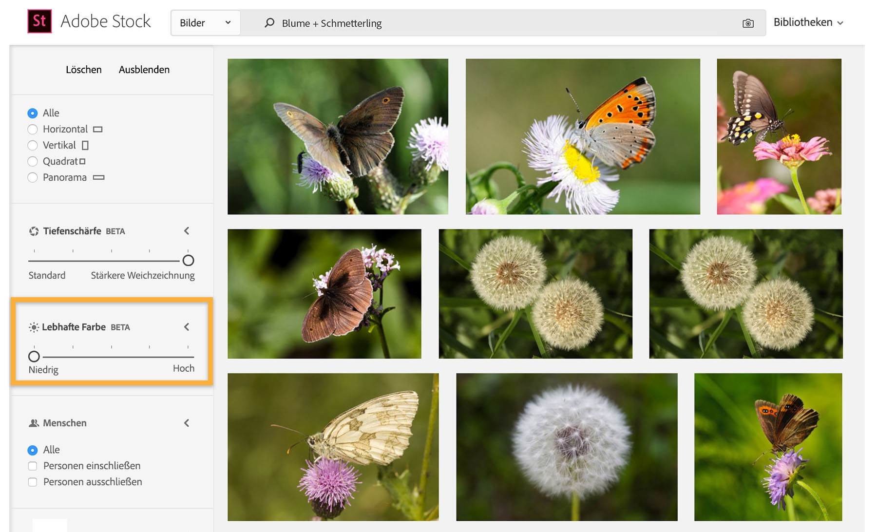Mithilfe der umgekehrten Bildersuche das richtige Foto finden