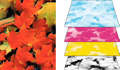 Printing color PDFs (Adobe Acrobat Pro)