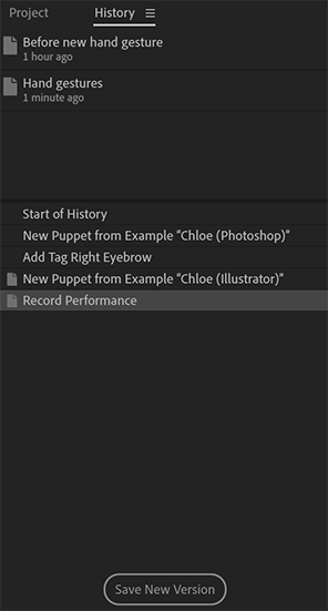 Creating, organising, and working on a new project.