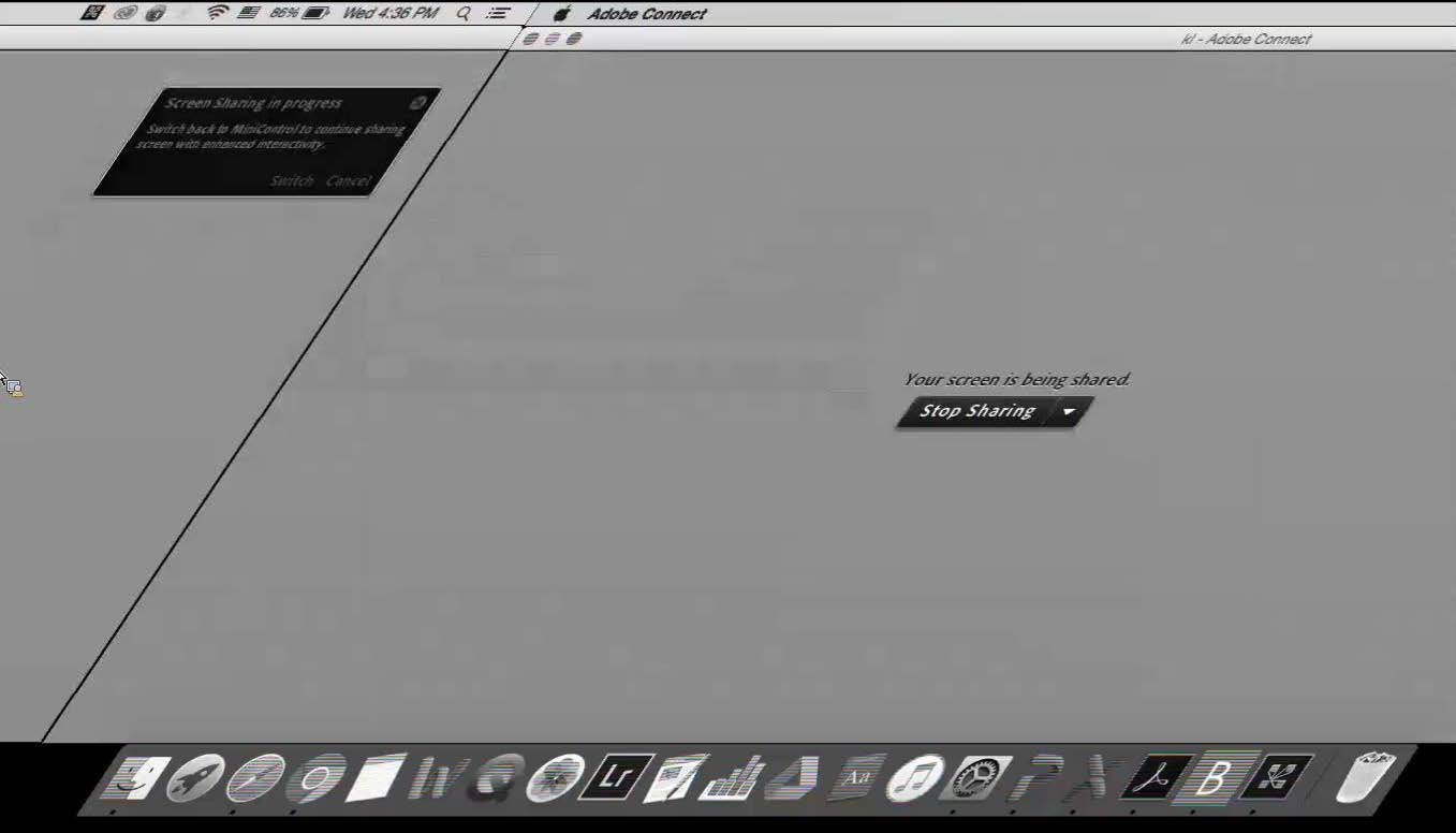 Adobe Connect screen sharing view appears distorted