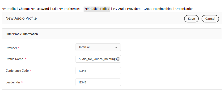 Work with audio in Connect meetings