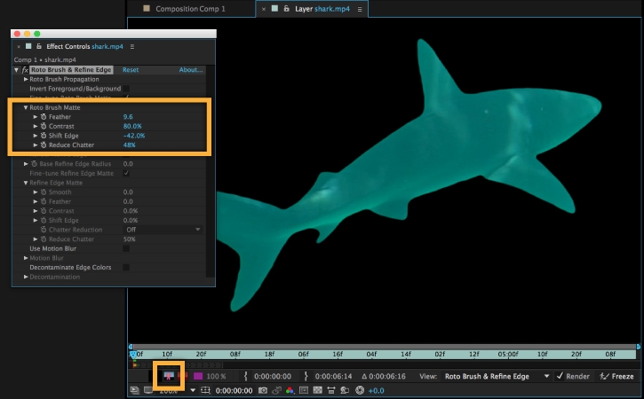Rotoscope nature footage