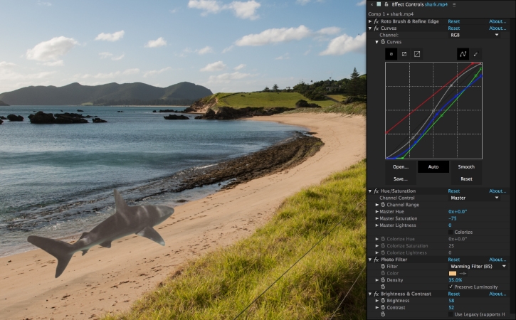 Rotoscope nature footage
