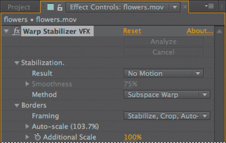 Best settings for warp stabilizer - lanetadownload