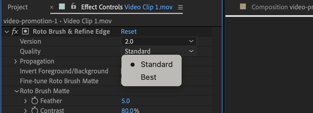 Roto Brush and Refine Matte in After Effects