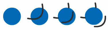 Draw and create objects with Animate