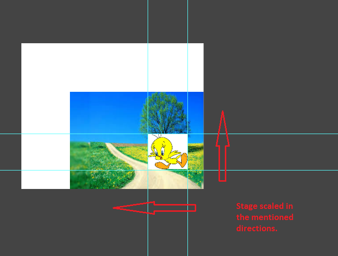 Use the Stage and Tools panel for Animate