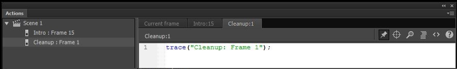 Write and manage scripts in Animate