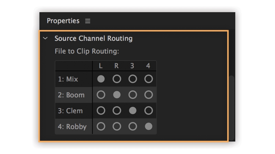 Working with multichannel audio editing workflows