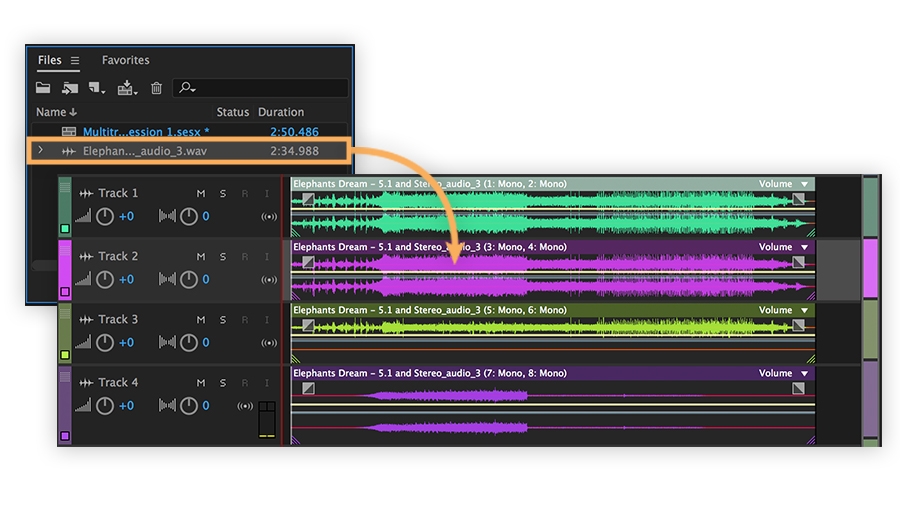 Working with multichannel audio editing workflows
