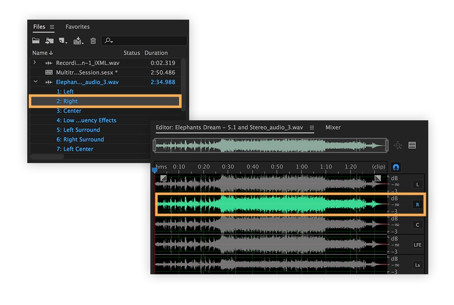 Working with multichannel audio editing workflows
