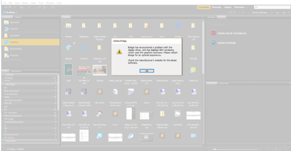 Error: "Bridge has encountered a problem with the display driver"