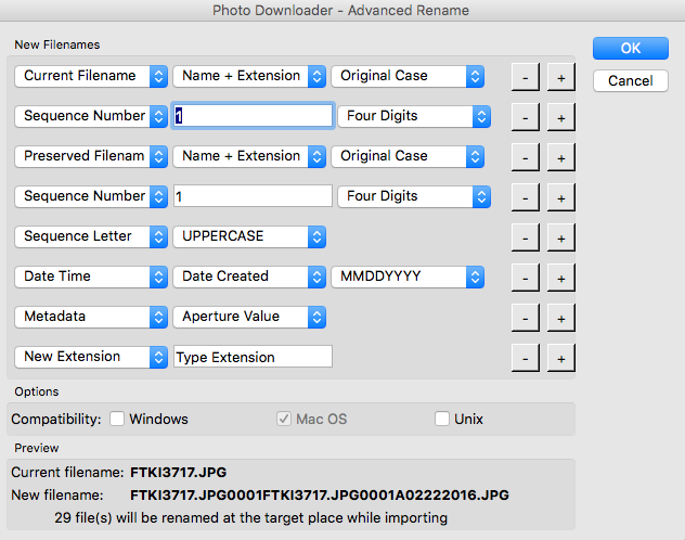 Download photos from your camera device using Adobe Bridge Photo Downloader