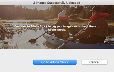 Use the Publish panel in Adobe Bridge to upload photos to Adobe Stock