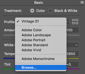 Ajuste de la representación del color de la cámara en Adobe Camera Raw