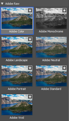 Adjust color rendering for your camera in Adobe Camera Raw