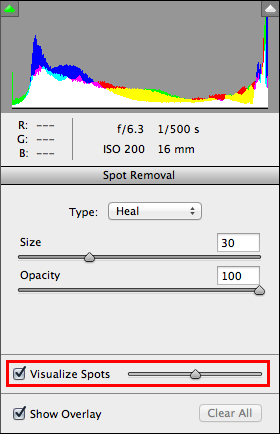 Repair images with the Enhanced Spot Removal tool in Adobe Camera Raw