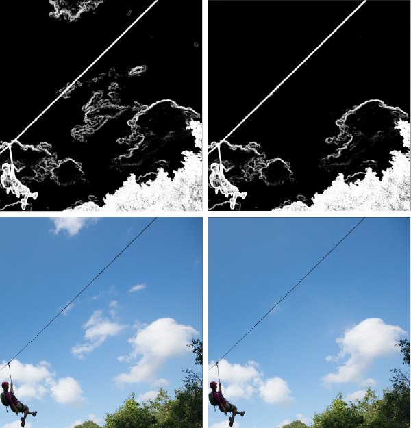 Repair images with the Enhanced Spot Removal tool in Adobe Camera Raw