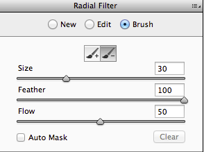 Radial Filter in Adobe Camera Raw