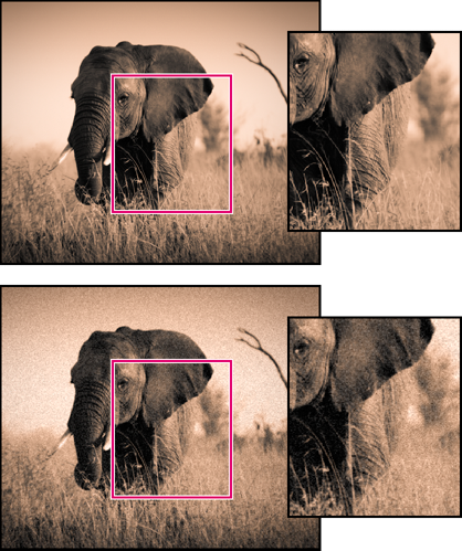 Vignette, grain, and dehaze effects in Adobe Camera Raw