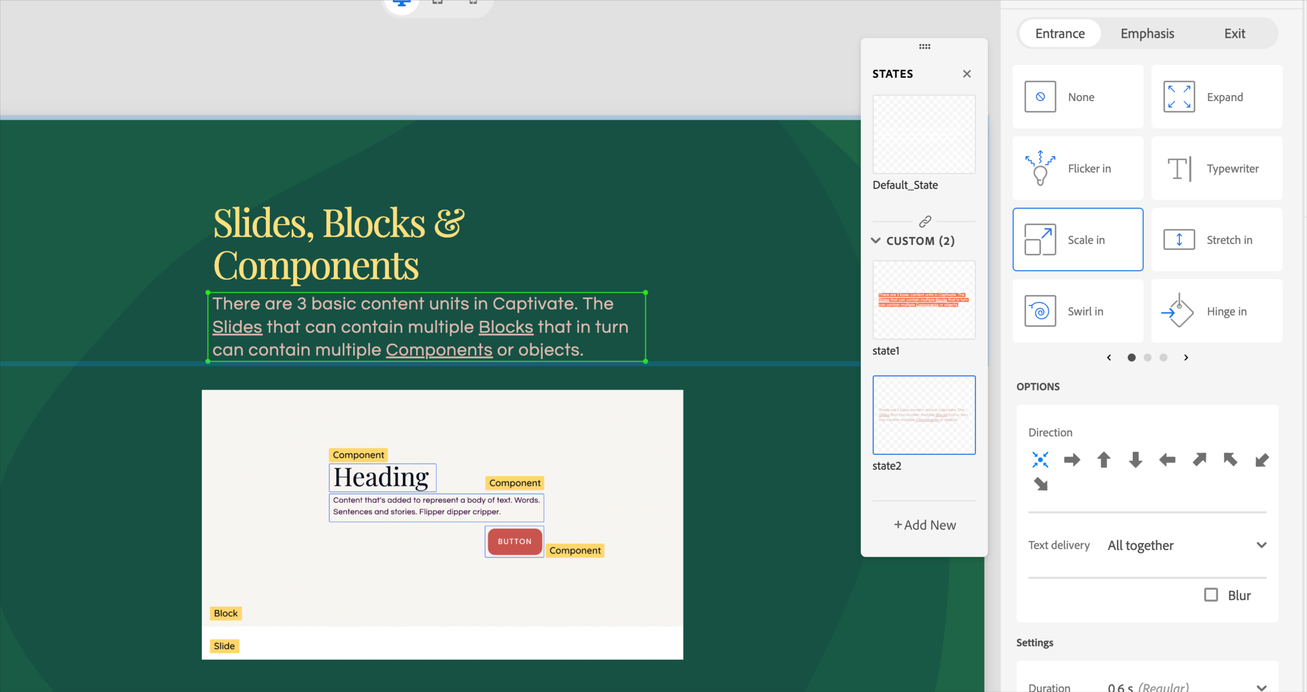Animations in Adobe Captivate
