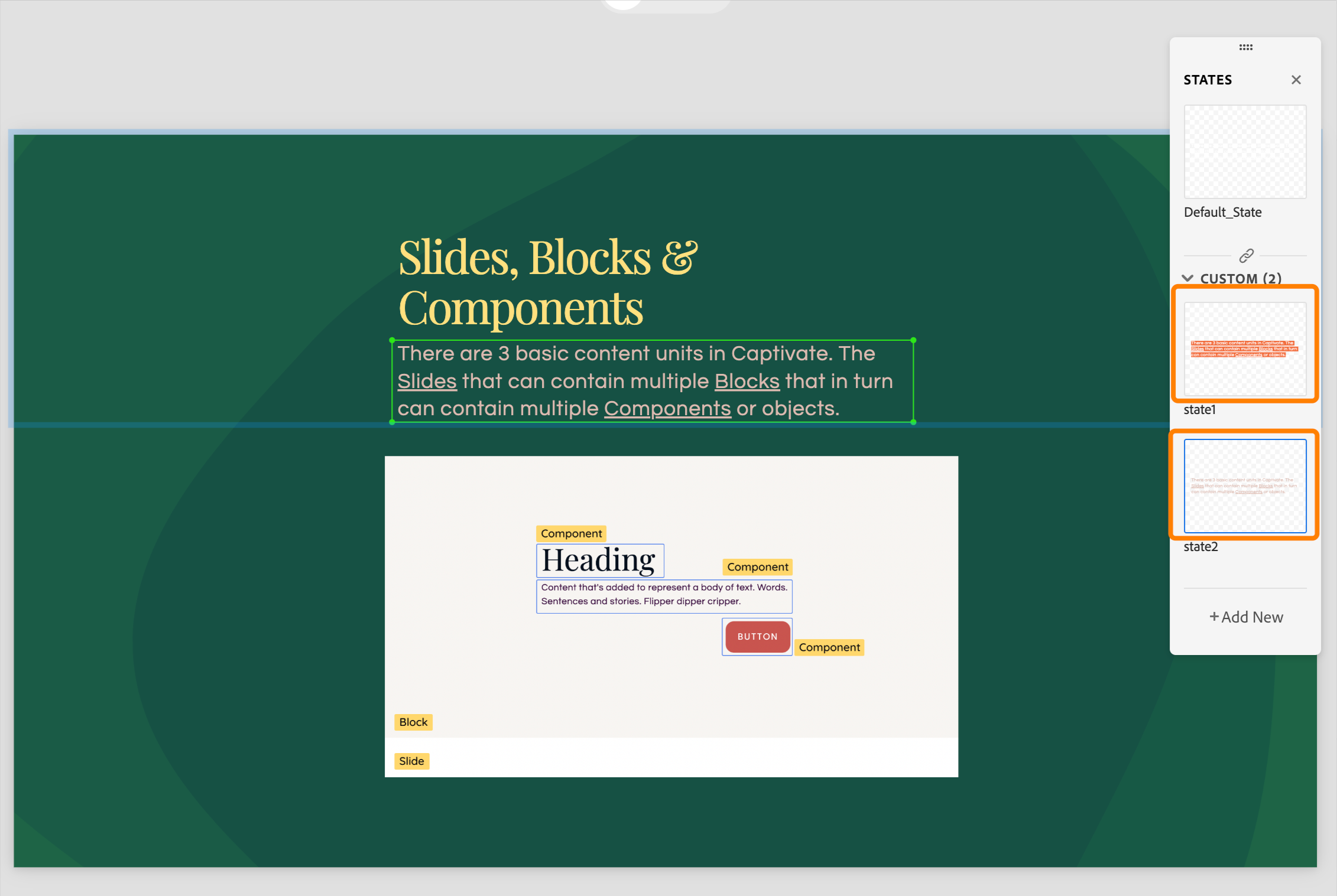 Animations in Adobe Captivate