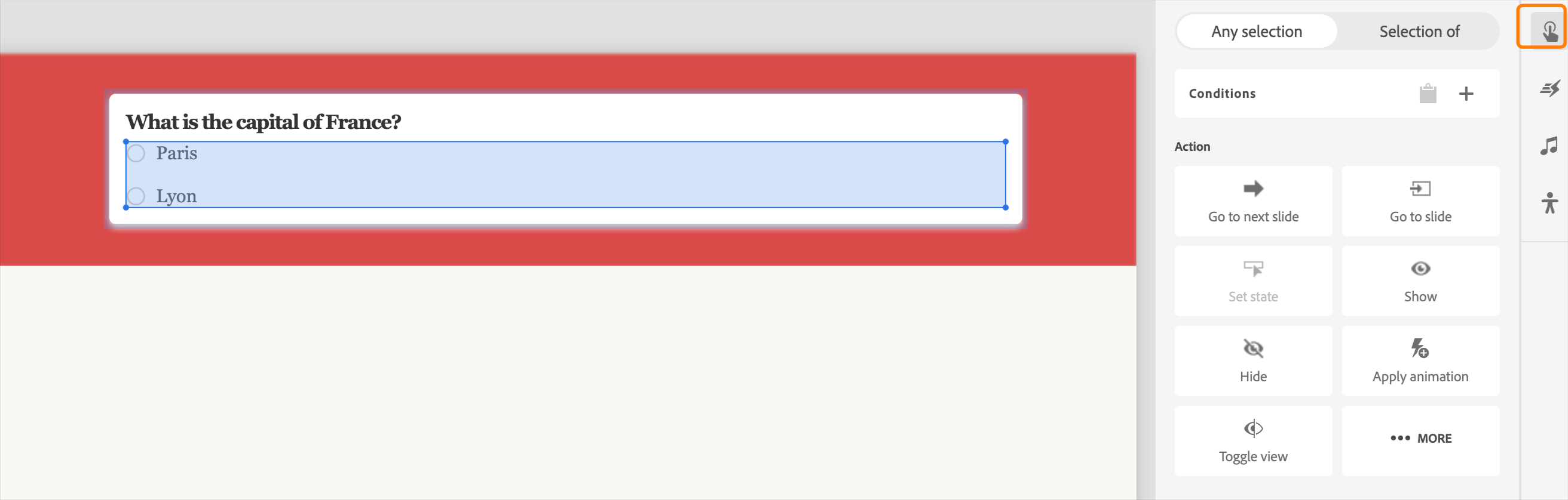 Add radio group widget to an Adobe Captivate project