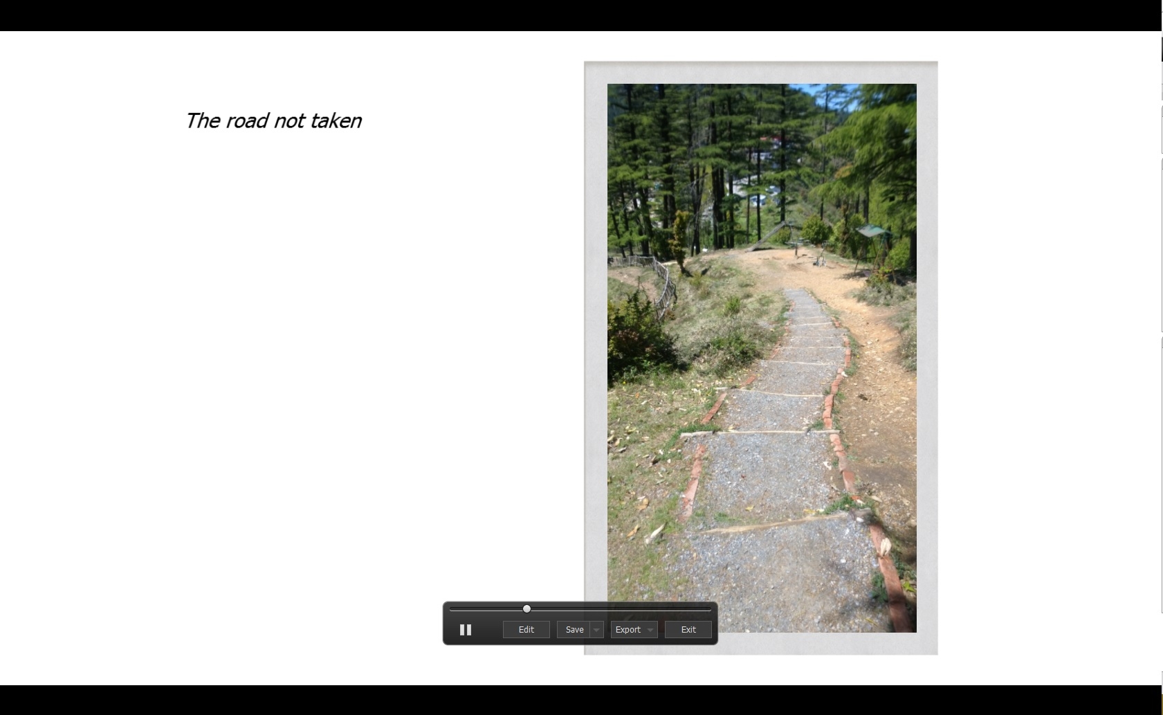Creating slide shows in Elements Organizer