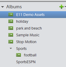 Creating albums and album categories in Elements Organizer