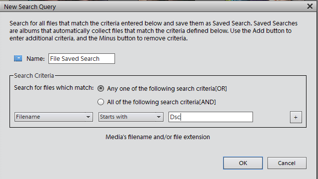 Creating and editing saved searches in Elements Organizer