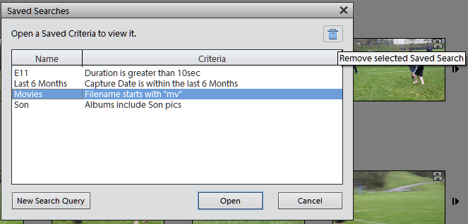 Creating and editing saved searches in Elements Organizer