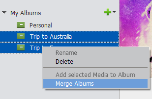 Editing albums and album categories in Elements Organizer