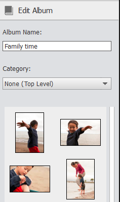 Editing albums and album categories in Elements Organizer