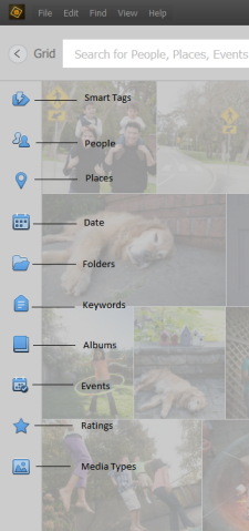 Using Enhanced Search in Elements Organizer
