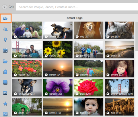 Using Enhanced Search in Elements Organizer