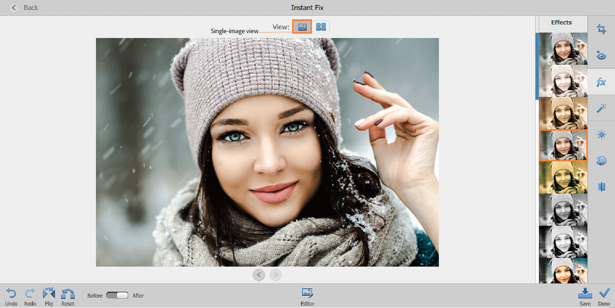 Fixing photos in Elements Organizer