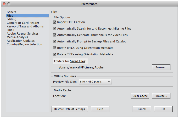 Import media from files and folders in Elements Organizer