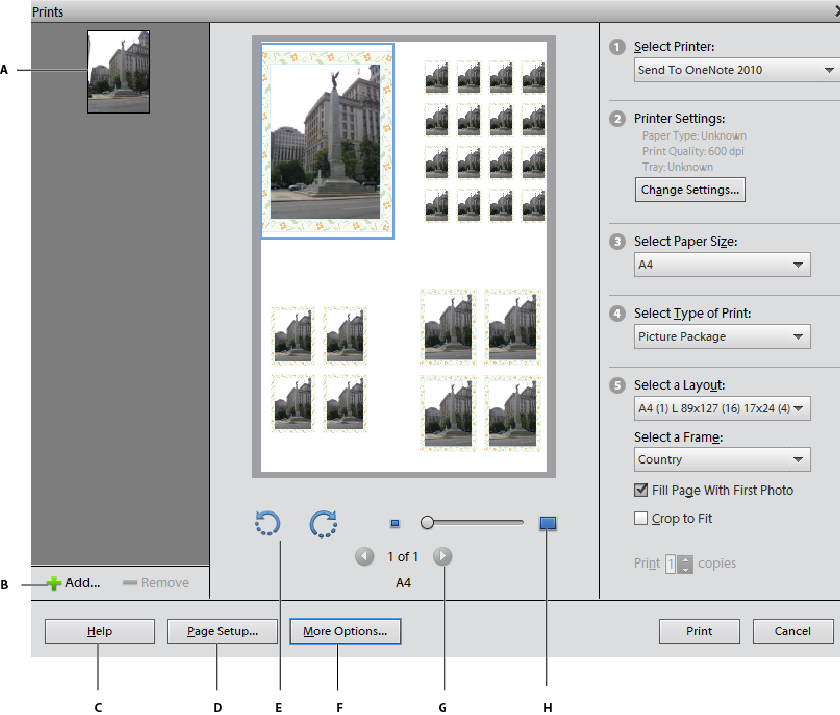 Printing photos in Elements Organizer